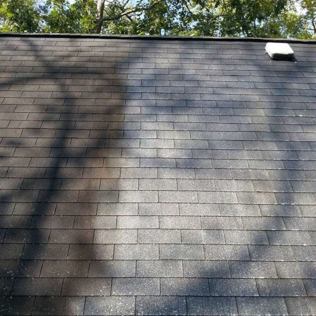 Roof Cleaning | Ocean Waves SoftWash [Infographic]