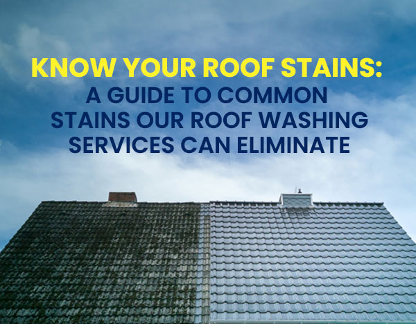 Know Your Roof Stains: A Guide to Common Stains Our Roof Washing ...